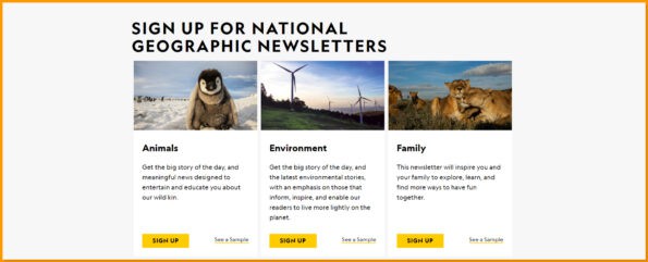 14 Inspiring Newsletter Sign-Up Examples From Top Brands