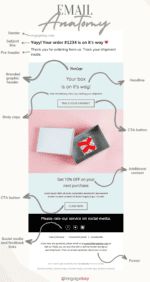 Email Anatomy 101: Essential Email Parts You Shouldn't Ignore
