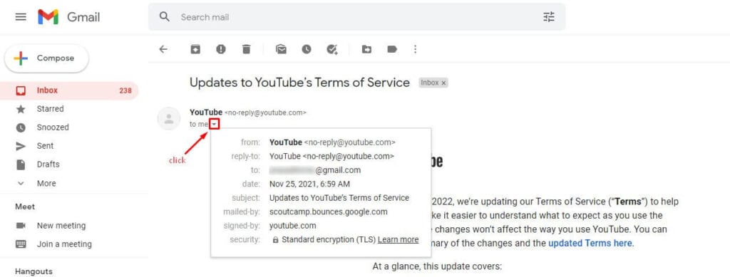 What is an Email Header? 6 Email Header Examples to Learn From
