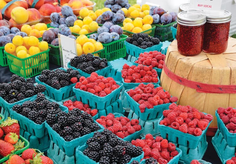 6 Farmers Market Ideas and Tips to Attract More Buyers